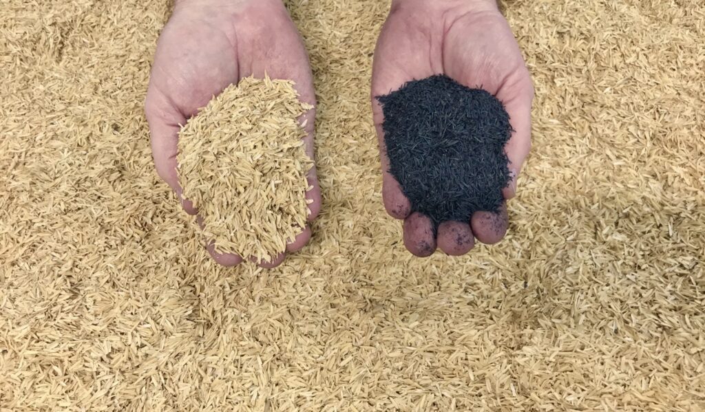 Rice hulls as the future for eco-friendly water filtration | H2O Global ...