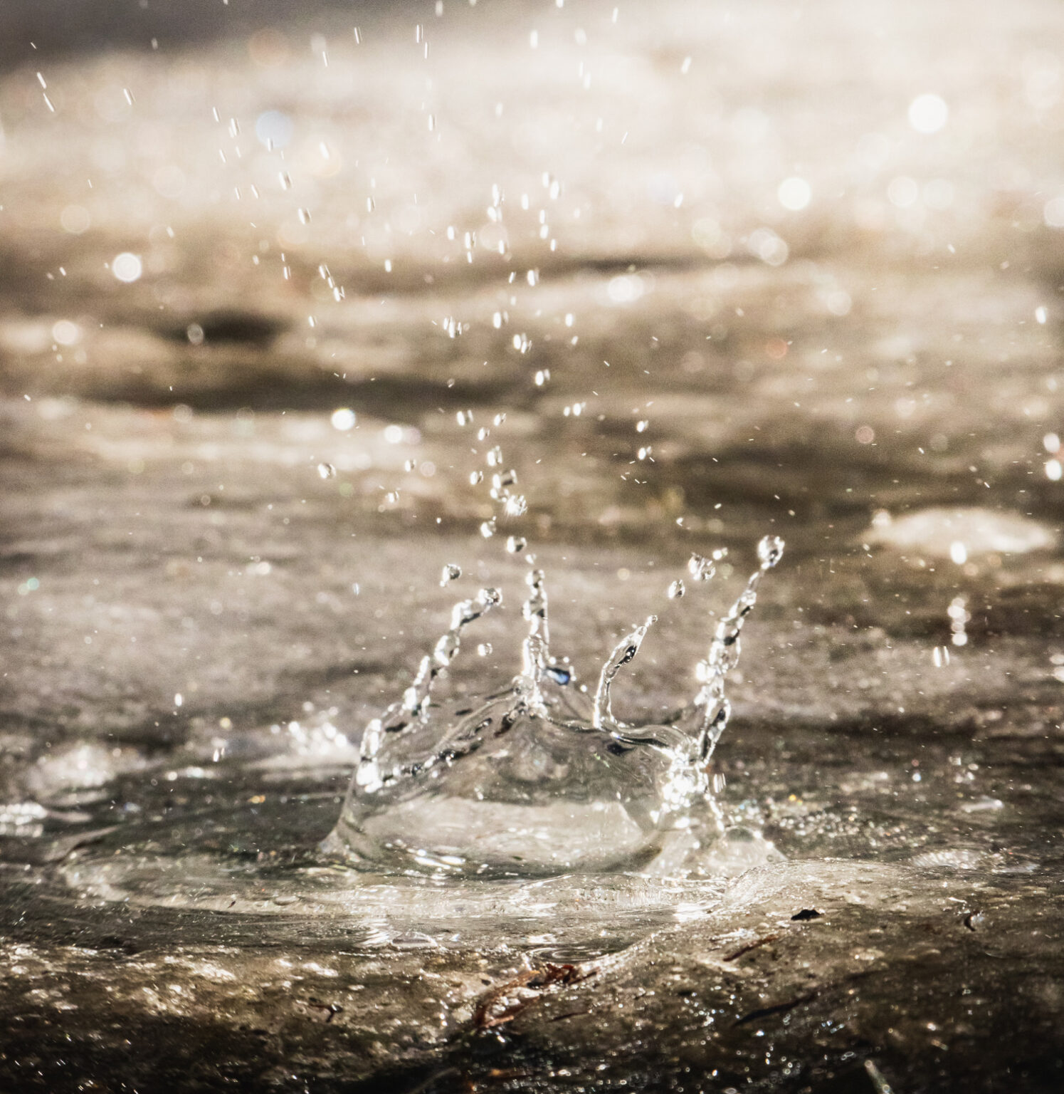 IDE Water Technologies Launches Israel’s First BWRO | H2O Global News