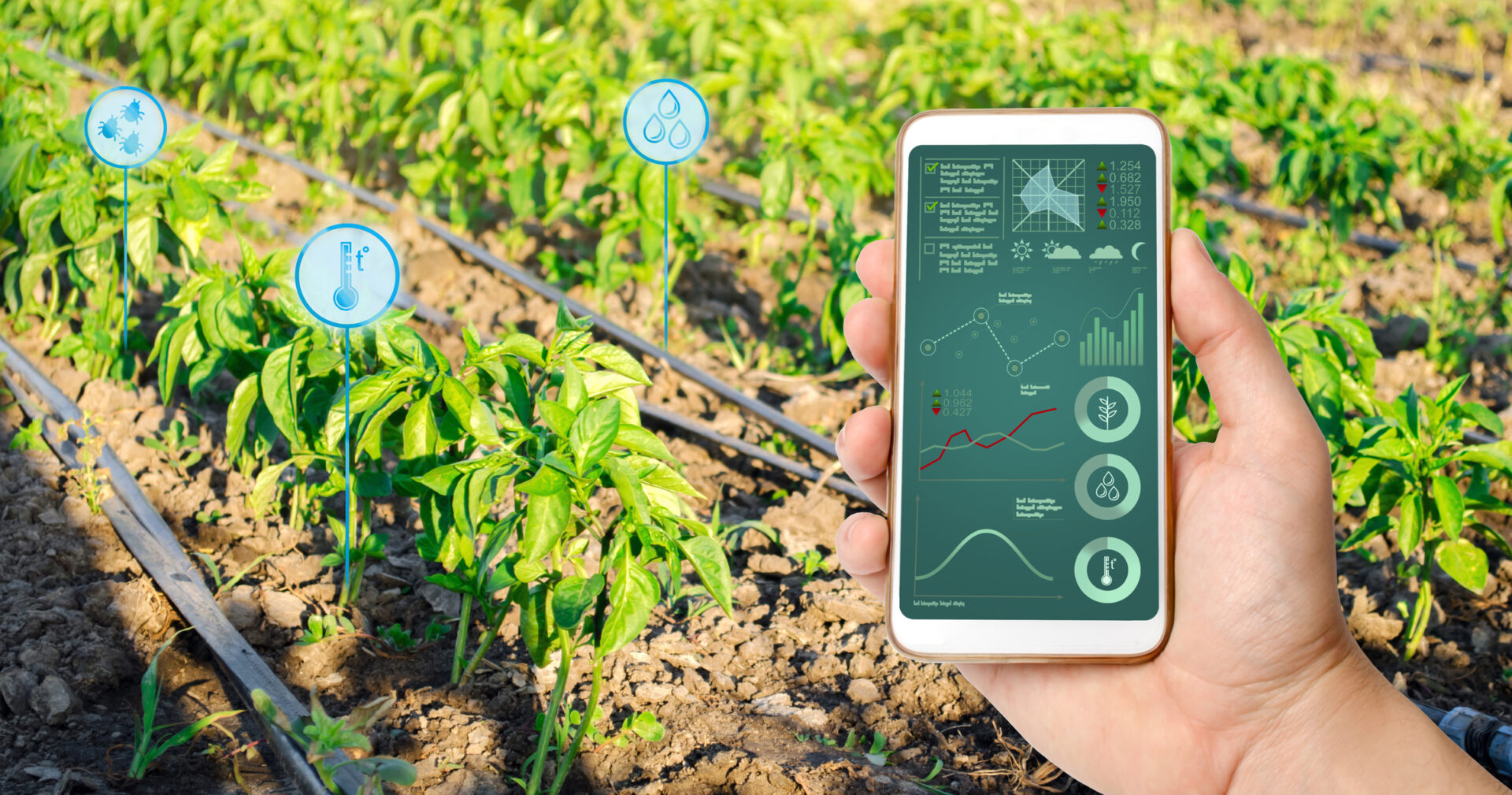Agrinoze develops system for automated, precision irrigation | H2O ...