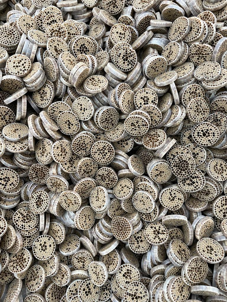 The New European Union Regulations for minimum water quality ...