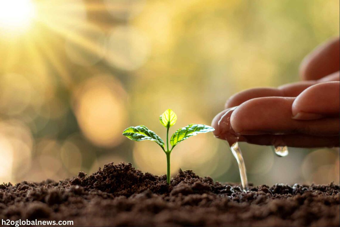 Water Conservation Methods in Agriculture | H2O Global News