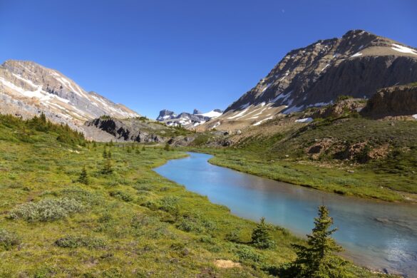 PepsiCo’s Open-Access Water Stewardship Learning Program | H2O Global News