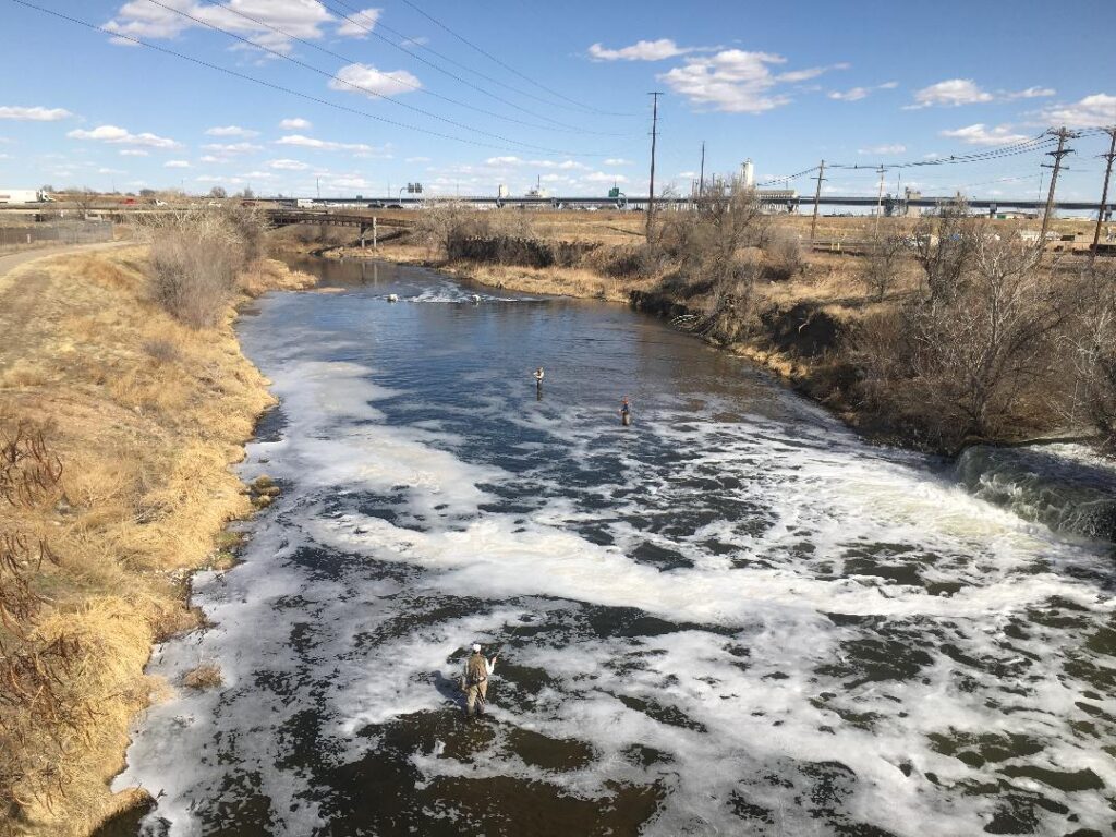 Metro Water Recovery’s work leads to healthier South Platte River | H2O ...