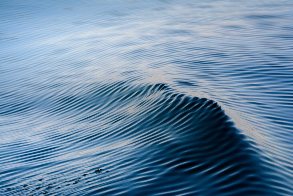Q&A: IDE Technologies' Hagit Oron on Water Reuse, Circular Water ...
