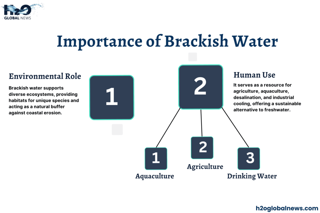 What Is Brackish Water, and How Is It Treated? | H2O Global News