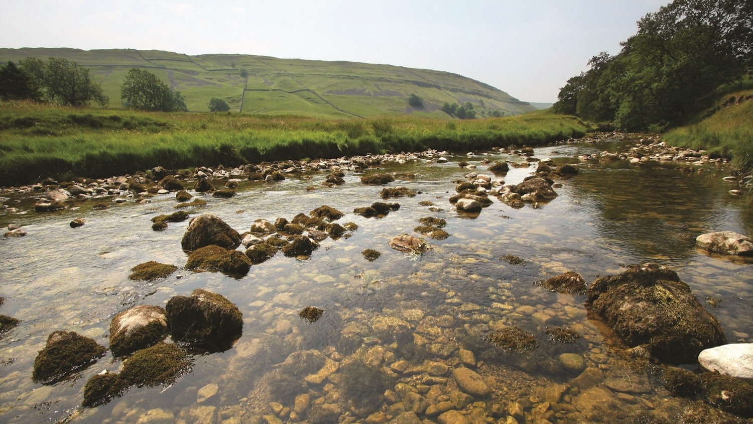 £1.4m investment to reduce storm overflows into river Don | H2O Global News