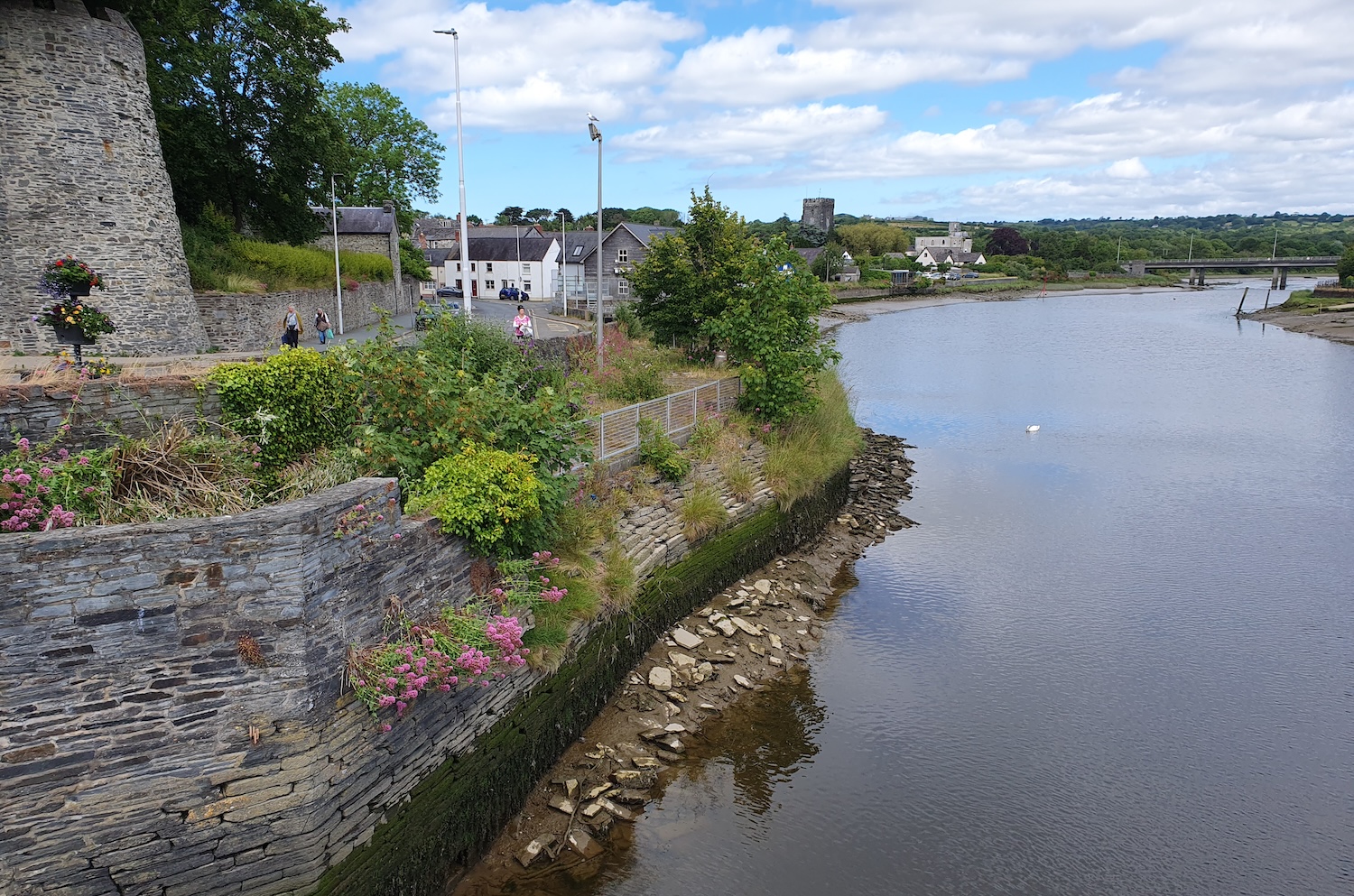 Cardigan Tidal Flood Risk Management Scheme adds biodiversity element ...