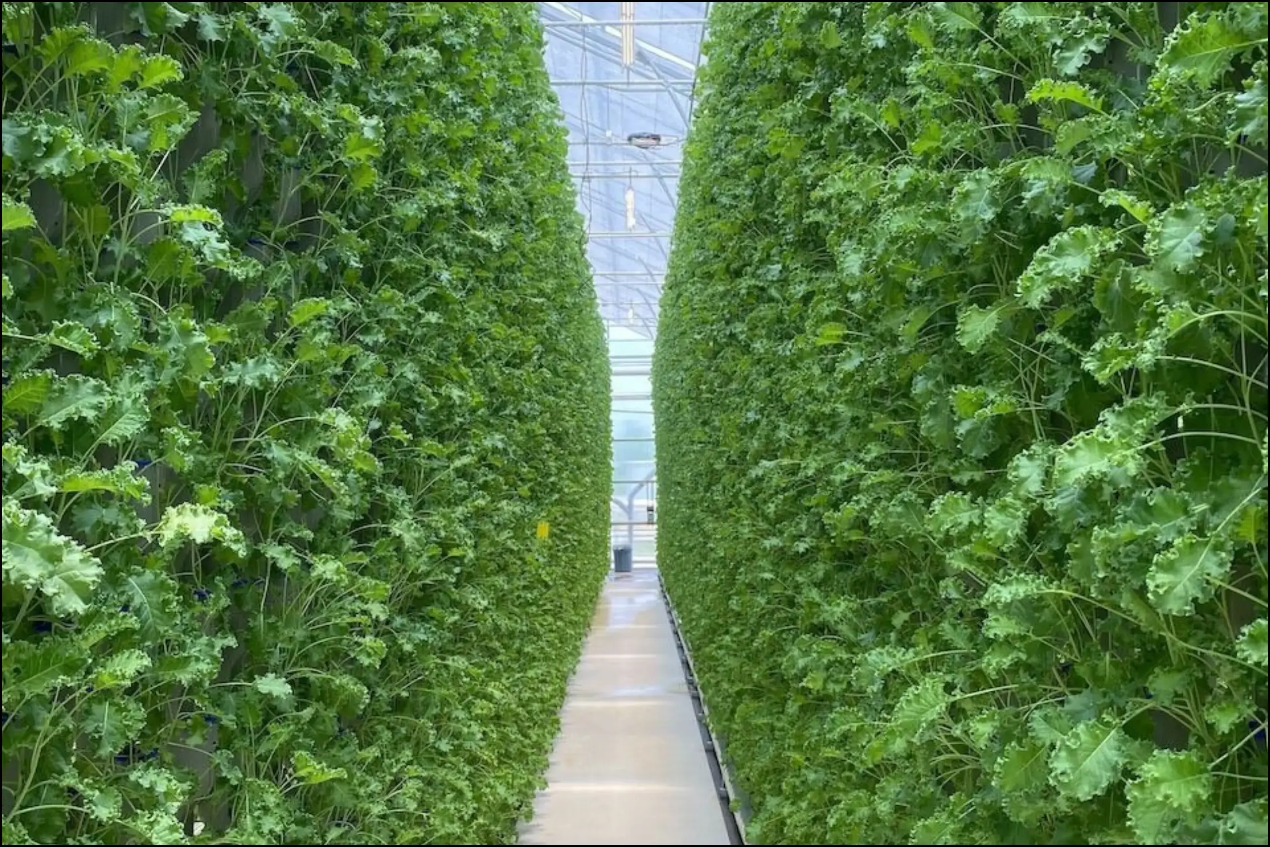 What Is Vertical Farming? Benefits and How it works | H2O Global News