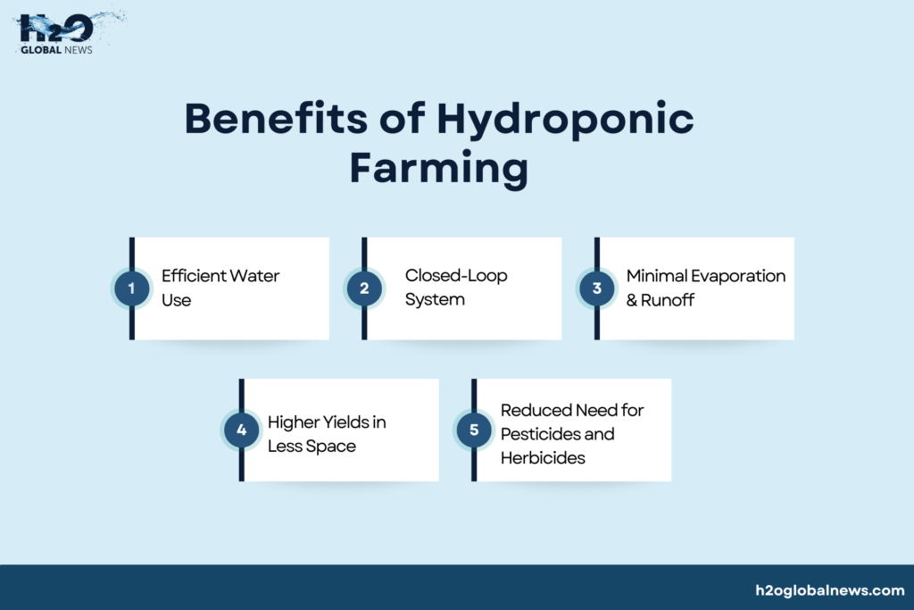 What Is Hydroponic Farming? How It Saves Water | H2O Global News