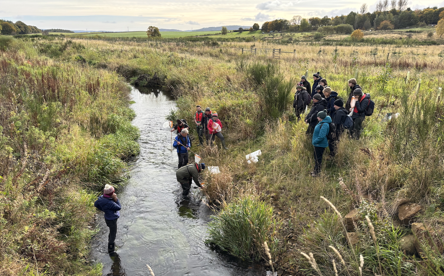 Tech-Powered River Guardians: How WildFish is Using Citizen Science and ...