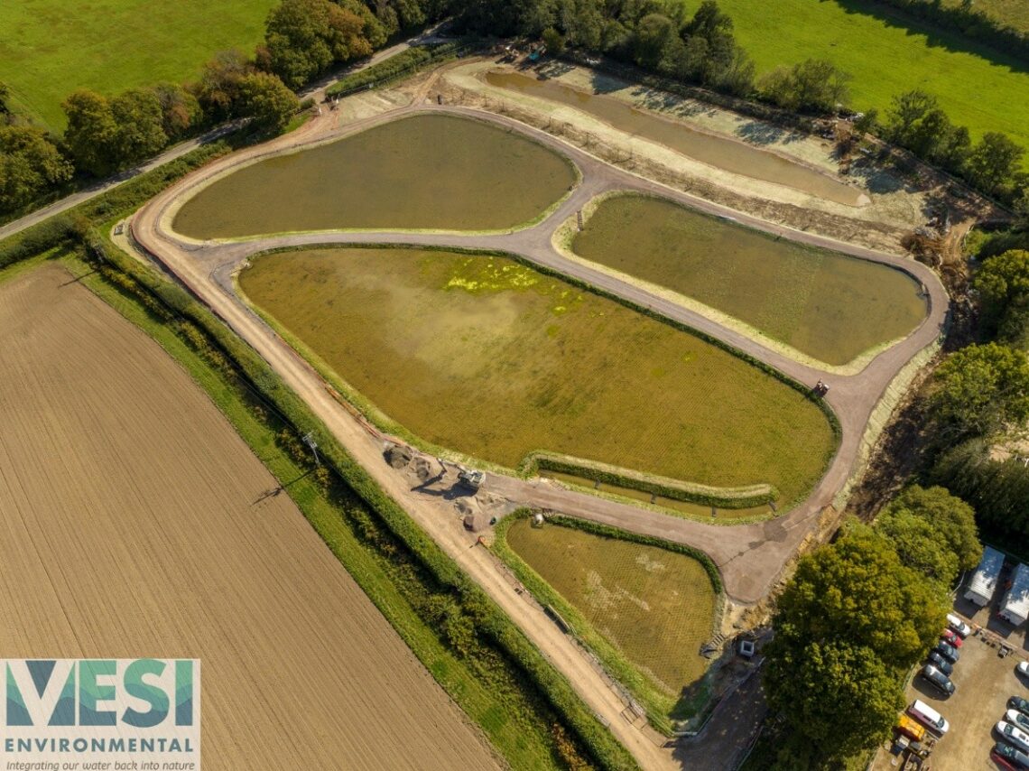 Staplefield Integrated Constructed Wetland enhances water quality and ...